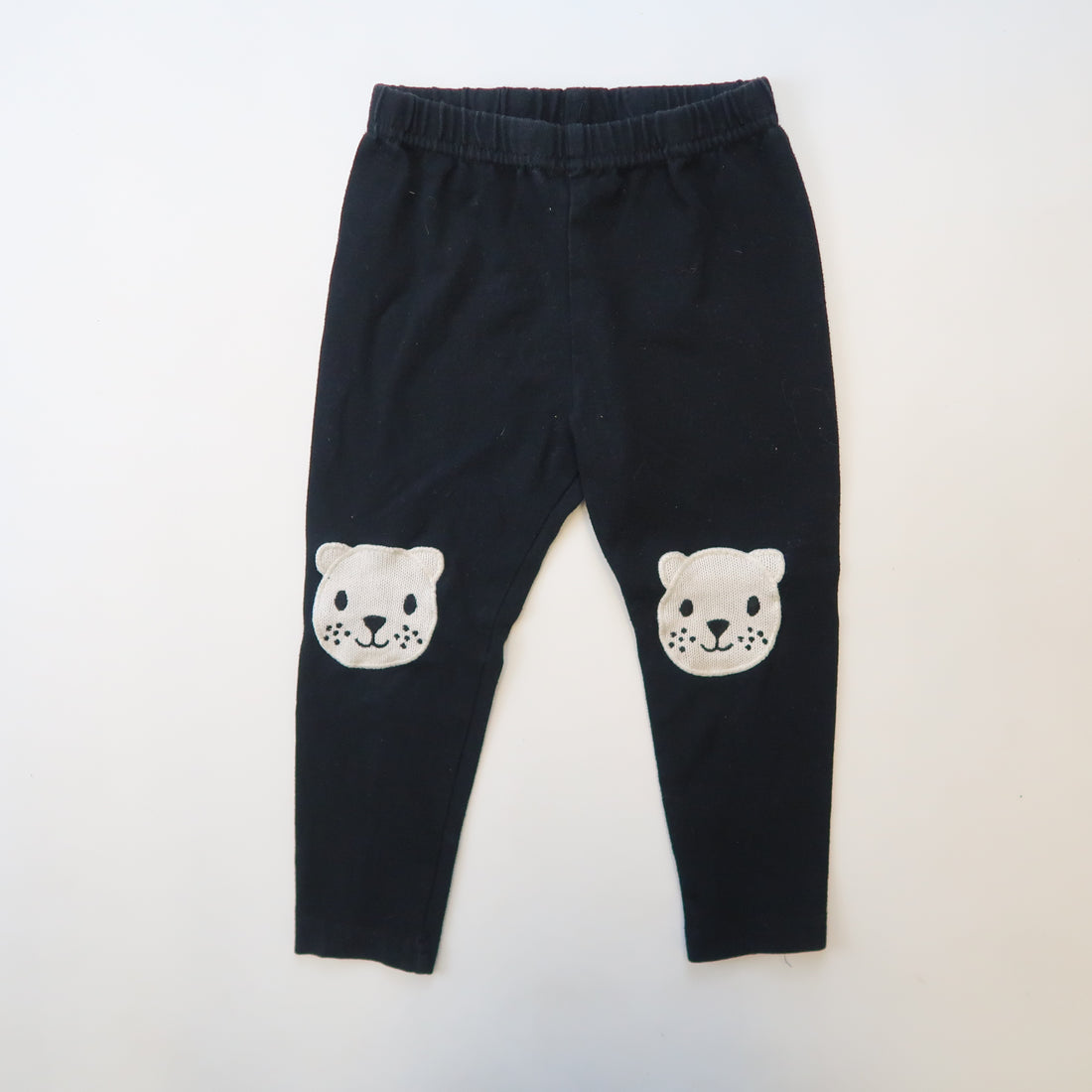 New Arrivals – Aster and Luna